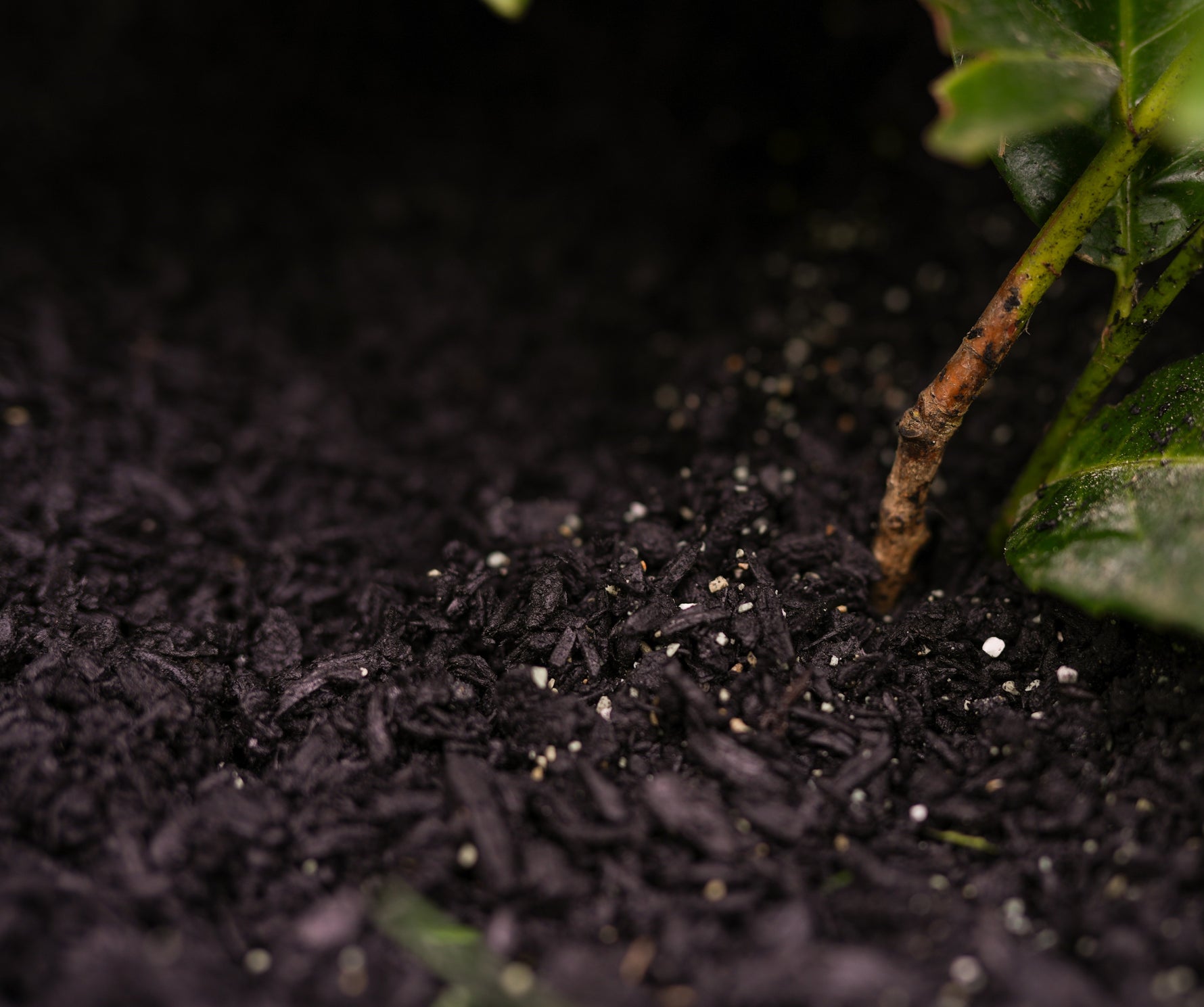 What is Biochar? – Onnu Biochar