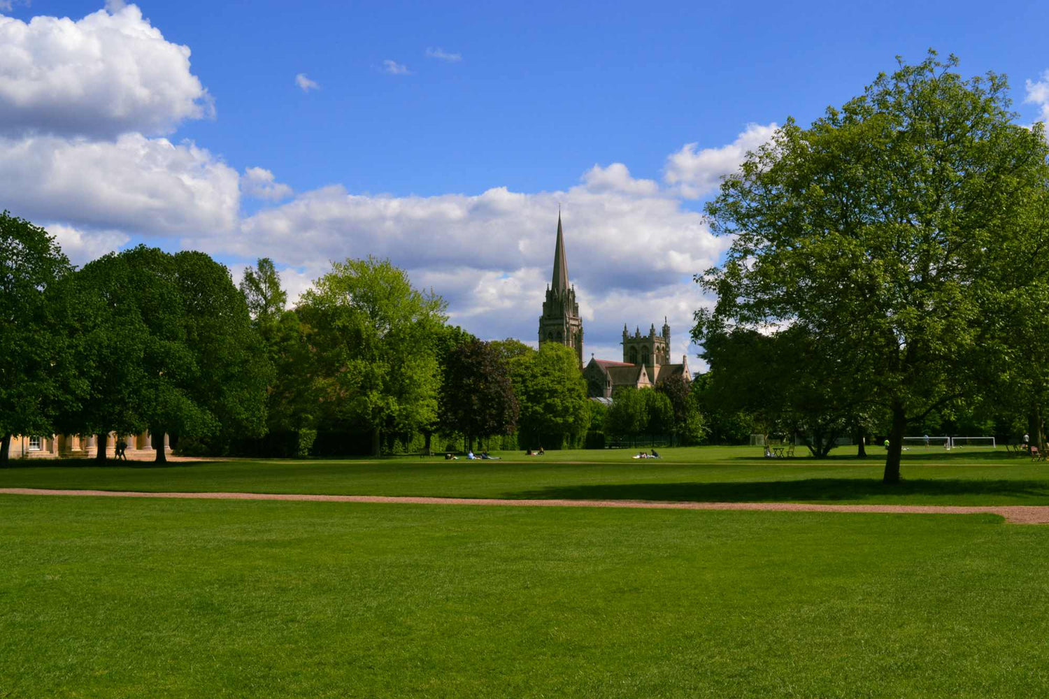 Biochar for Landscaping Projects – Onnu Biochar